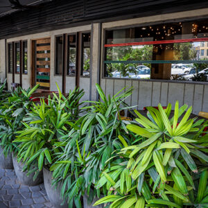 Mirchili - Authentic South Indian Food in Karachi